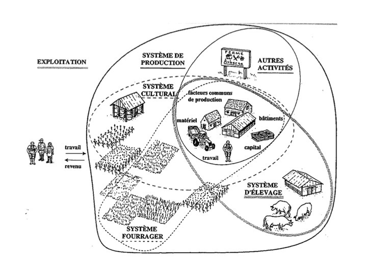 L'exploitation agricole, un lieu de production ? Le système de ...