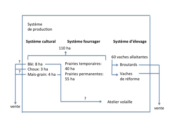 L'exploitation agricole, un lieu de production ? Le système de ...